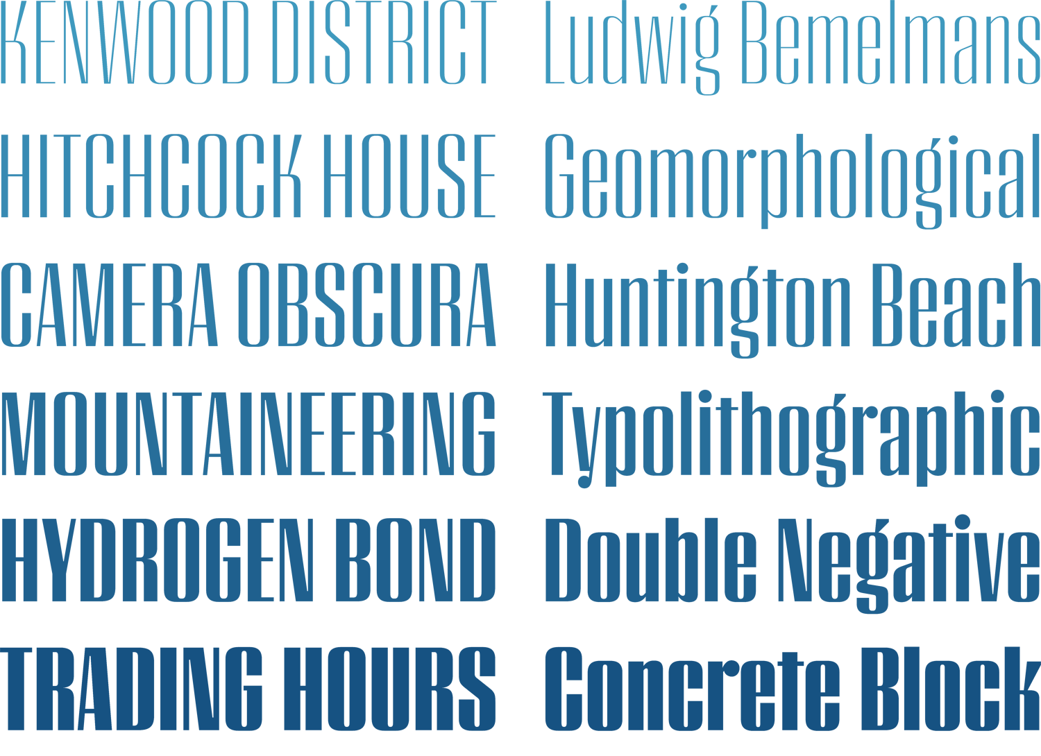 News, Notes & Observations | Hoefler & Co.