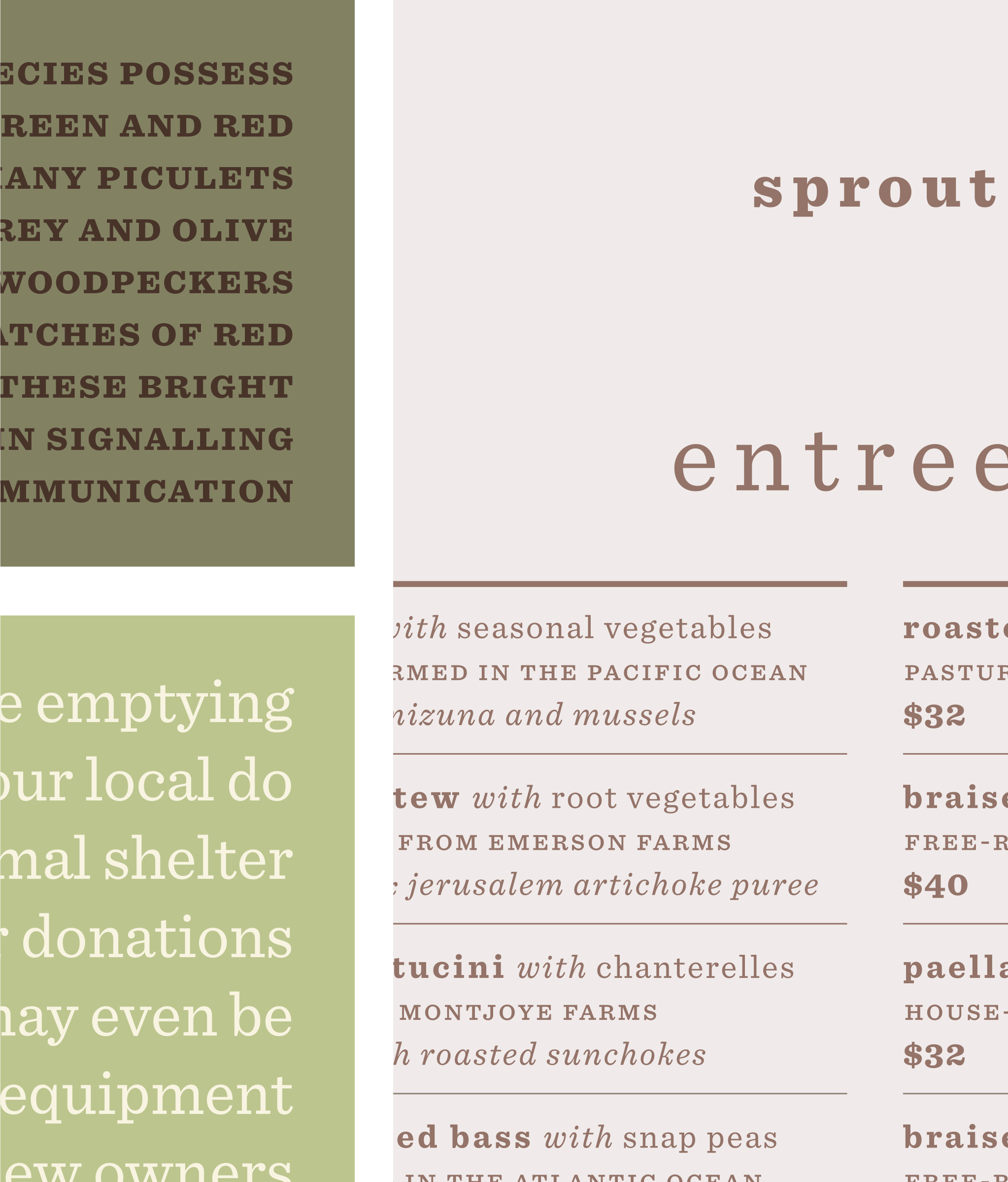 Sentinel Fonts - Design Notes | Fonts by Hoefler&Co.