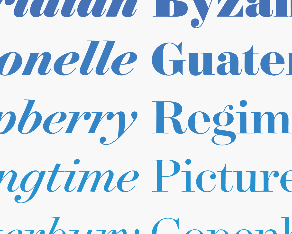Surveyor Fonts | Fonts by Hoefler&Co.